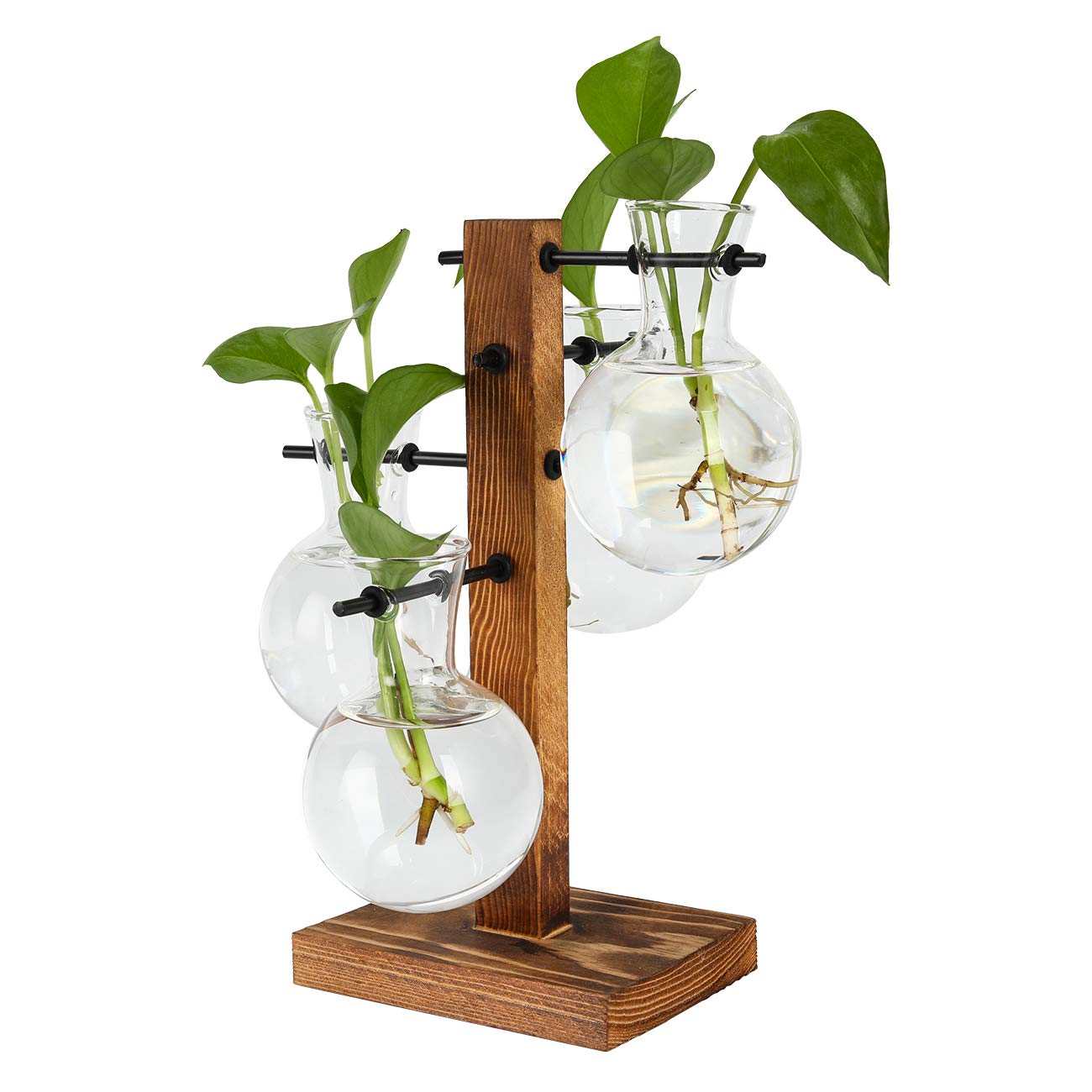 PAG Plant Terrariums Kit Desktop Hydroponics Air Planter Holder with 4 Bulb Beaker Glass Vase and Solid Wood Stand for Home Office Decoration Gift for Women