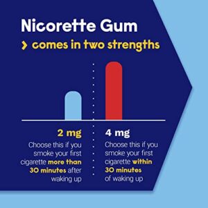 Nicorette 4 Mg Nicotine Gum to Help Quit Smoking with Behavioral Support Program - White Ice Mint Flavored Stop Smoking Aid, 160 Count