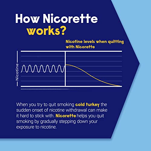 Nicorette 4 Mg Nicotine Gum to Help Quit Smoking with Behavioral Support Program - White Ice Mint Flavored Stop Smoking Aid, 160 Count