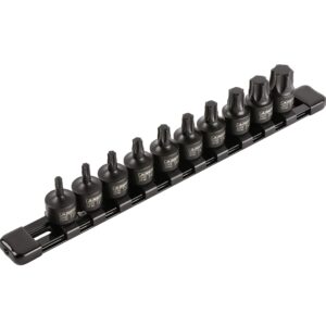 ARES 24001-10-Piece 3/8-Inch Drive Low Profile Impact Torx Bit Driver Set - Chrome-Moly Steel & Manganese Phosphate Coating - Star Bit Size Range T25-T70 - Reusable Storage Rail