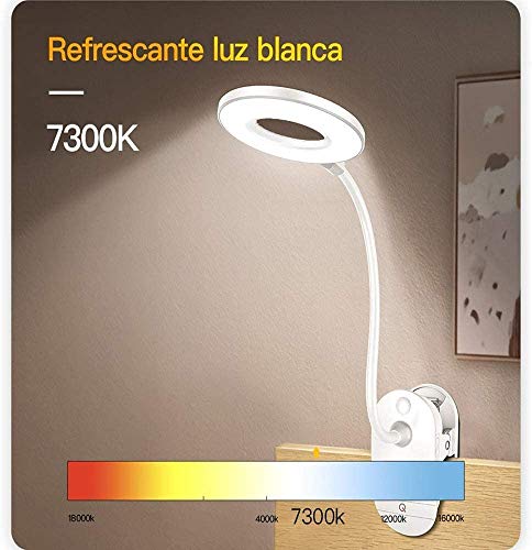 Clip on Lamp,Battery Powered Reading Lamp,Clip on Light for Bed Clip on Battery Light with 3 Brightness Level,USB Rechargeable, Reading Lamp