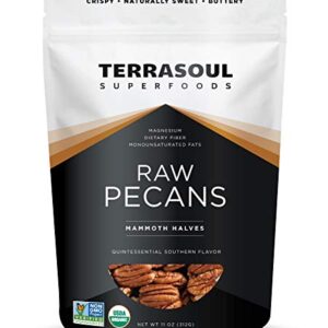 Terrasoul Superfoods Organic Pecans, 11 Oz (Pack of 1) - Mammoth Halves | Fresh | Raw