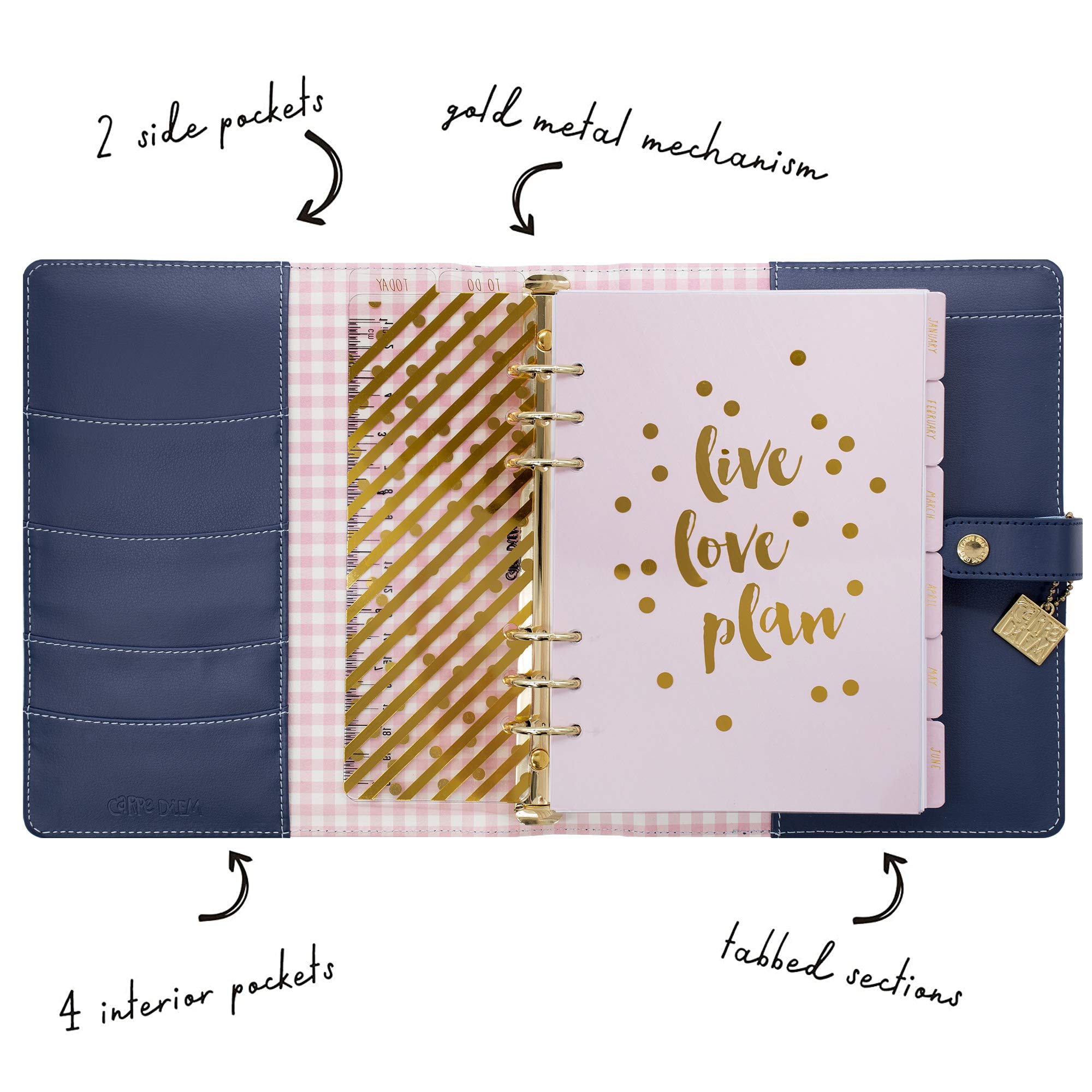 Pukka Pad, Carpe Diem A5 Planner with Weekly, Monthly Undated Inserts, 10 X 9.5 X 2 Inches, Disty Floral