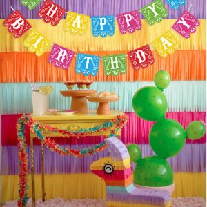 Joy Bang Fiesta Birthday Banner Decorations, Mexican Theme Party Decor, Cinco de Mayo Happy Birthday Banner Papel Picado Garland, Feliz Cumpleaños Banner for Kids Adults, Fiesta Party Favor Supplies