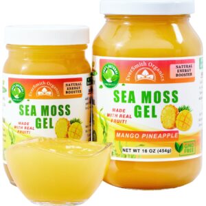 EverSmith Organics - Wildcrafted Irish Sea Moss Gel | Made in USA | Rich in Vitamins & Minerals | Sea Moss Gel Organic Raw | Nutritional Supplement | Mango Pineapple (16 oz)