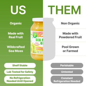 EverSmith Organics - Wildcrafted Irish Sea Moss Gel | Made in USA | Rich in Vitamins & Minerals | Sea Moss Gel Organic Raw | Nutritional Supplement | Mango Pineapple (16 oz)