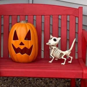 Crazy Bonez Digger The Skeleton Dog