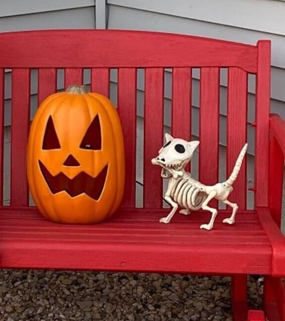 Crazy Bonez Digger The Skeleton Dog