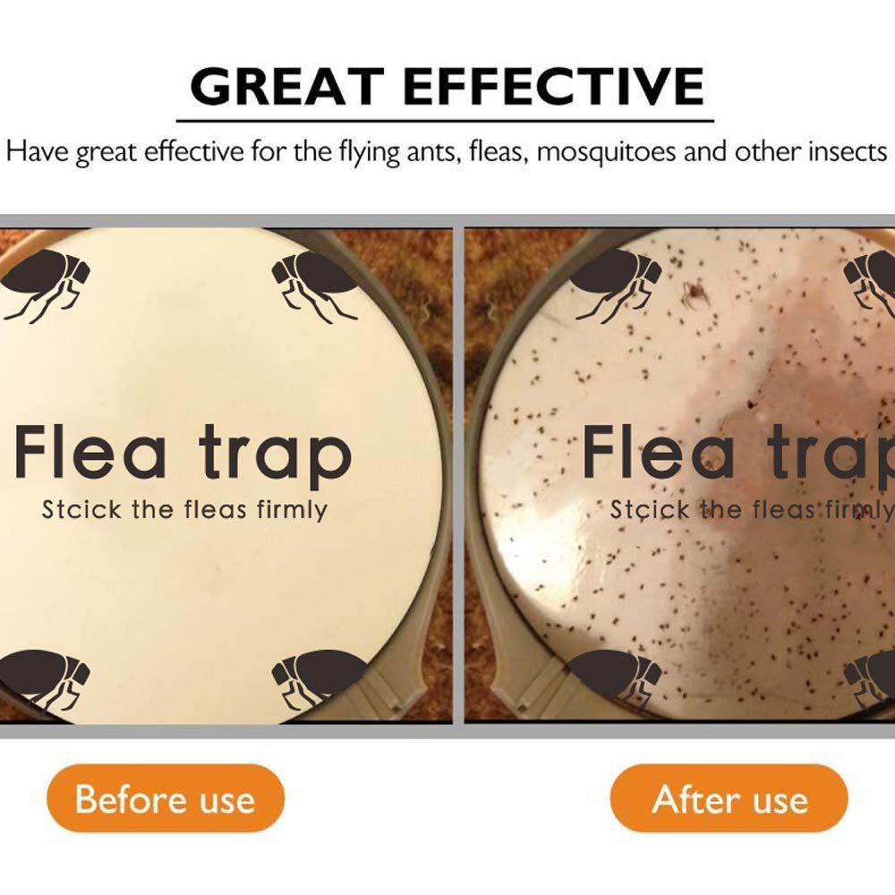 Flea Trap Refills 10 Packs, Flea Trap for Inside Your Home, Replacement Pads for Flea Light, 7.1 Inch Natural Glue Discs Refill