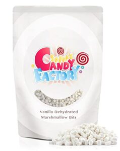 sarah's candy factory vanilla mini dehydrated marshmallow bits in resealable bag, 1lb