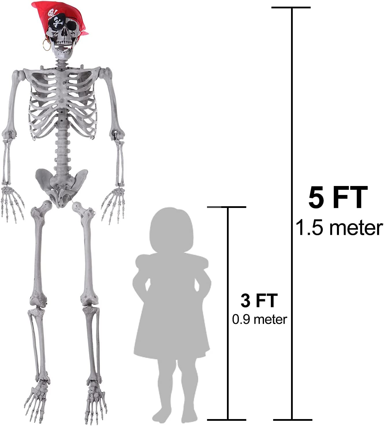 Halloween Decorations - 5 Ft Placeable Halloween Skeleton - Full Body Life-Size Skeleton Prop with Movable Joints for Halloween Outdoor Yard Haunted House Prop Decoration