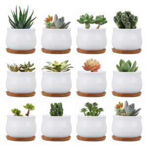 succluent pots ，small flower pots planter pots with drinage,ceramic flowers pots with bamboo tray for cactus(12 pack