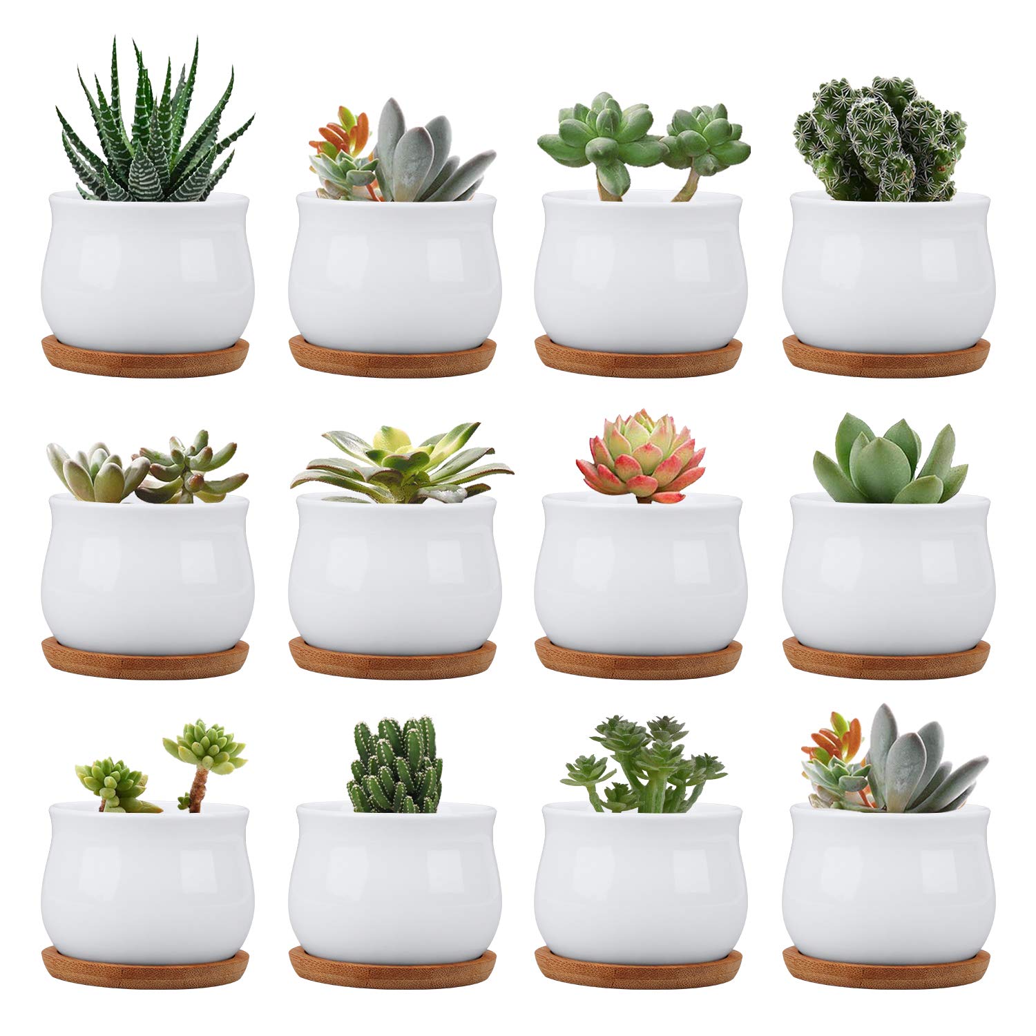 Succluent Pots ，Small Flower Pots Planter Pots with Drinage,Ceramic Flowers Pots with Bamboo Tray for Cactus(12 Pack