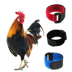 tkocisa 3 pack no crow rooster collar, chicken collar anti-hook noise free neckband no crow noise neck belt for roosters - prevent chickens from screaming, disturbing neighbors