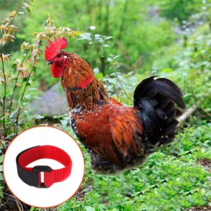 Tkocisa 3 Pack No Crow Rooster Collar, Chicken Collar Anti-Hook Noise Free Neckband No Crow Noise Neck Belt for Roosters - Prevent Chickens from Screaming, Disturbing Neighbors