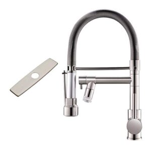 fapully led kitchen faucet with sprayer,single handle kitchen faucet with hole cover brushed nickel