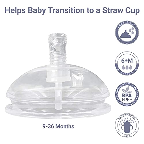 Anpei Straw and Sippy Cup Transitional Nipples Set of 2 with Nipple Storage Case Compatible with Comotomo Baby Bottles, 5 oz and 8 oz