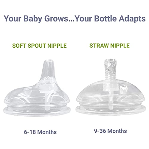 Anpei Straw and Sippy Cup Transitional Nipples Set of 2 with Nipple Storage Case Compatible with Comotomo Baby Bottles, 5 oz and 8 oz