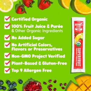 DeeBee's Organics Classic SuperFruit Freezie Pops, No Added Sugars, No Artificial Flavors or Colors Freezer Pops (Pack of 25)