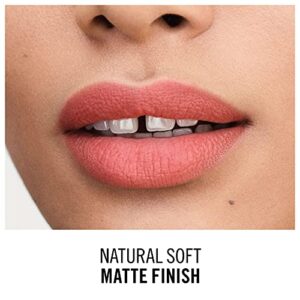 Rimmel Lasting Finish Matte Lipstick - All-Day Intense Lip Color with Exclusive Ruby and Diamond Complex - 220 Mauve Bliss, .14oz