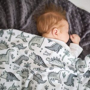 Giggle Angel Baby Plush Minky Blanket Double Layer with Dotted Backing for Baby Girl or Baby Boy (Dinosaur Pattern)