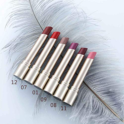 Edanta Matte Lipstick Cream Lipsticks Waterproof Lip Liner Smooth Lips Stick Long Lasting Lips Pencil Double Head Lip Crayon Makeup for Women and Girls Pack of 1 (Nude 01#)