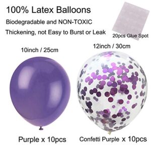 Recosis Birthday Party Decorations, Purple Party Decorations for Boy Girls Men Women Happy Birthday Banner, Curtains Paper Pompoms and Fans Garland Confetti Balloons for Birthday Party Decorations