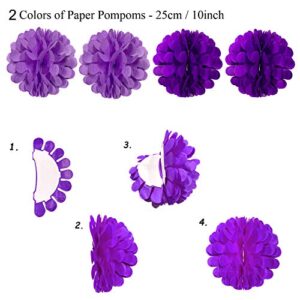 Recosis Birthday Party Decorations, Purple Party Decorations for Boy Girls Men Women Happy Birthday Banner, Curtains Paper Pompoms and Fans Garland Confetti Balloons for Birthday Party Decorations