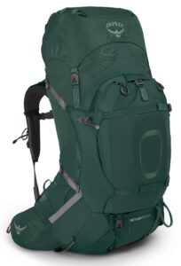 osprey aether plus 60l men's backpacking backpack, axo green, l/xl