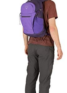 Osprey Daylite Plus Commuter Backpack, Dream Purple