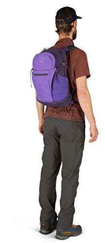 Osprey Daylite Plus Commuter Backpack, Dream Purple