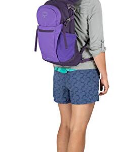 Osprey Daylite Plus Commuter Backpack, Dream Purple