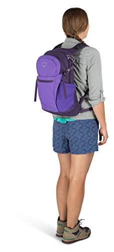 Osprey Daylite Plus Commuter Backpack, Dream Purple