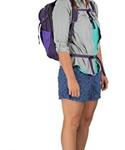 Osprey Daylite Plus Commuter Backpack, Dream Purple