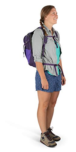 Osprey Daylite Plus Commuter Backpack, Dream Purple