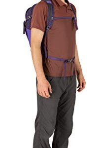 Osprey Daylite Plus Commuter Backpack, Dream Purple