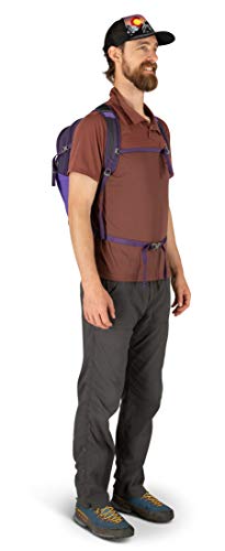 Osprey Daylite Plus Commuter Backpack, Dream Purple