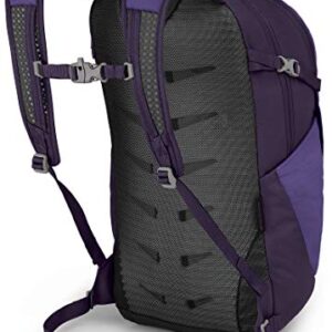 Osprey Daylite Plus Commuter Backpack, Dream Purple