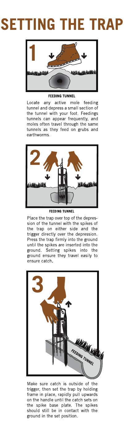 YARDDOG Bite Spikes Plunger Mole Trap