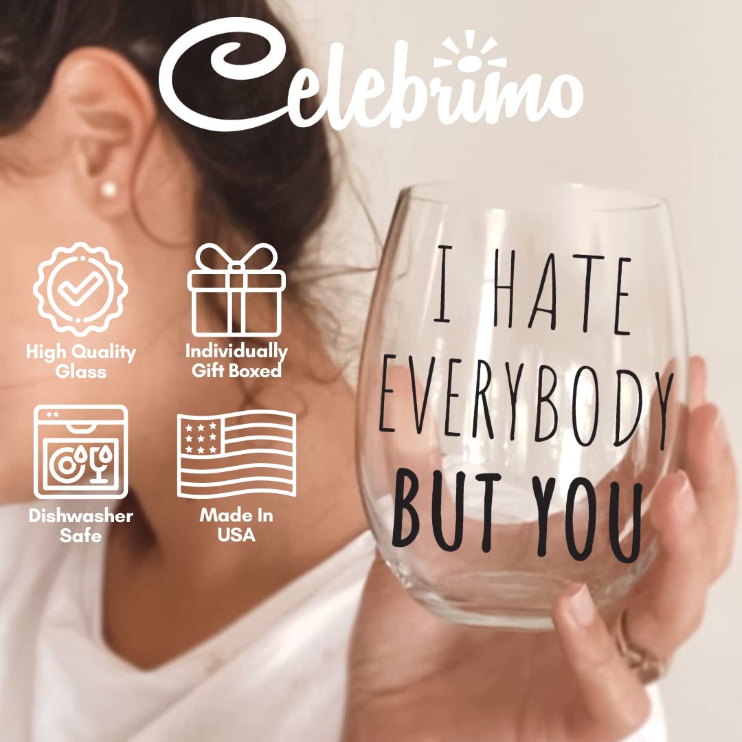 Celebrimo Funny Bestie Gifts For Women - I Hate Everybody But You Wine Glass - Funny Bestfriend Christmas Stocking Stuffers - Fun Birthday Gifts for Boyfriend, Girlfriend - Cute BFF Glass 15oz