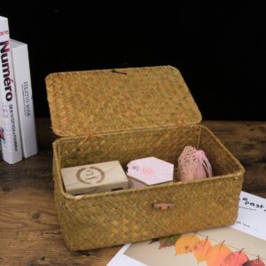 Cabilock Wicker Woven Storage Bin Basket with Lid Makeup Case Organizer Small Basket Storage Baskets with Lids Decorative Makeup Organizer for Drawer Woven Baskets Tissue Box Wooden Rattan