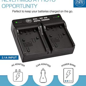 BM Premium 2 NP-FV100A High Capacity Batteries and Dual Bay Charger for Sony FDR-AX30 FDR-AX33 AX53 FDR-AX700 FDR-AX100 FDR-AX35 HXR-MC50 HXR-MC88 HX-RNX80 PXW-Z90V NEX-VG20 VG30 NEX-VG900 Camcorders