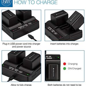 BM Premium 2 NP-FV100A High Capacity Batteries and Dual Bay Charger for Sony FDR-AX30 FDR-AX33 AX53 FDR-AX700 FDR-AX100 FDR-AX35 HXR-MC50 HXR-MC88 HX-RNX80 PXW-Z90V NEX-VG20 VG30 NEX-VG900 Camcorders