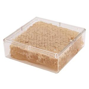 Pioneer Plastics 156C Clear Square Plastic Container, 4.3125" W x 4.3125" D x 1.375" H, Pack of 12