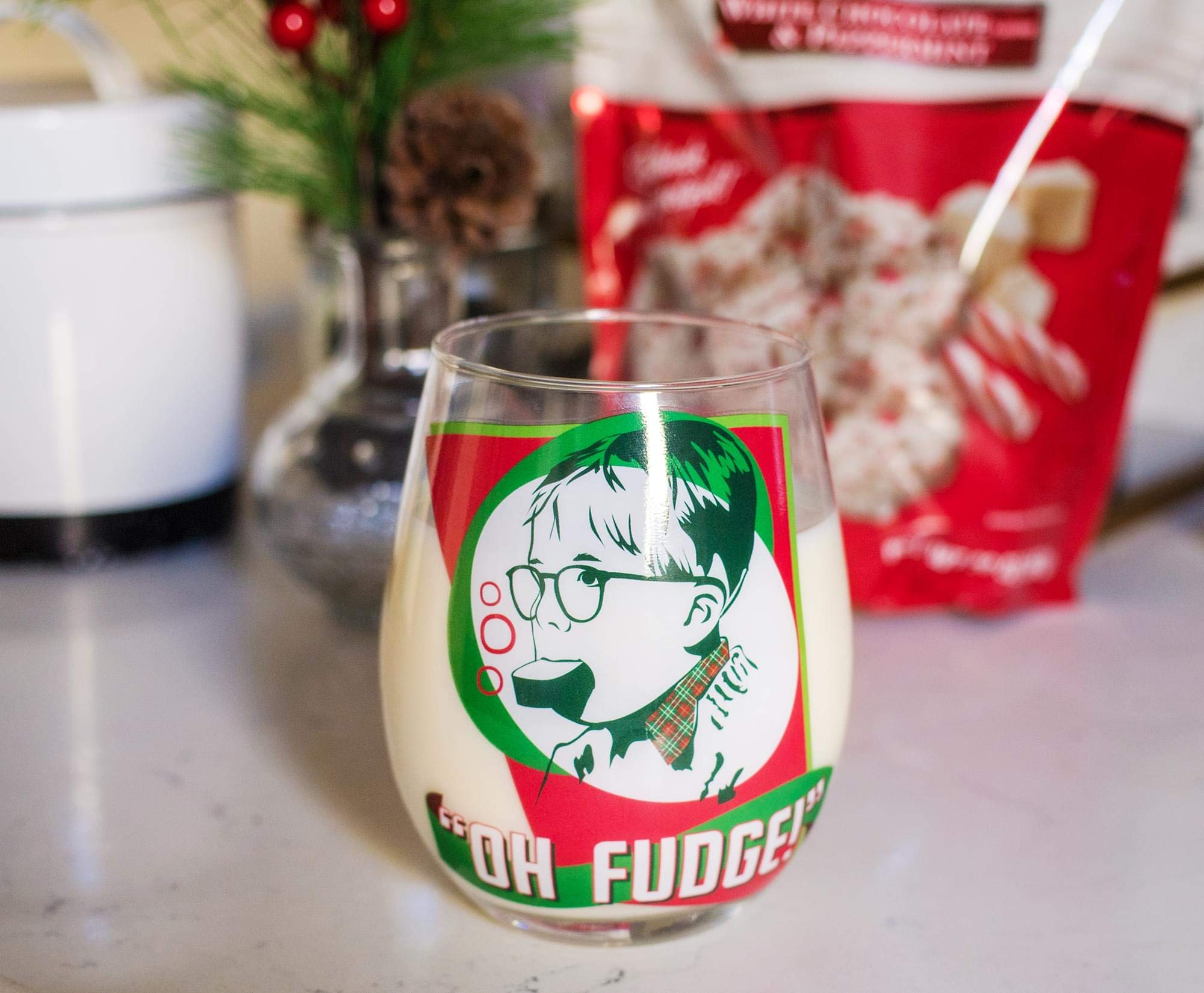 Silver Buffalo A Christmas Story Oh Fudge! Stemless Wine Glass | Holds 20 Ounces