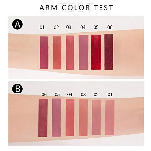 DEERWIN 6 Colors Matte Liquid Lipstick Makeup Set Waterproof Long-Lasting Wear Non-Stick Cup Not Fade Lip Gloss Gift Sets (Set A)