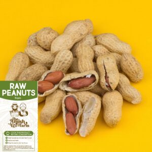 THE AMISH ECO-FARM | Fancy Size | Bulk Raw Peanuts in Shell, Virginia Grown | Unsalted Peanuts | Boiled Peanuts | Squirrels and Birds Feed. (2 lb Bag)