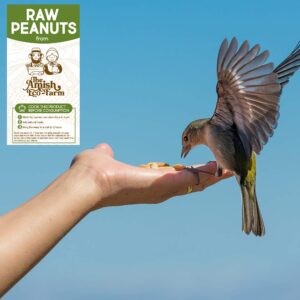 THE AMISH ECO-FARM | Fancy Size | Bulk Raw Peanuts in Shell, Virginia Grown | Unsalted Peanuts | Boiled Peanuts | Squirrels and Birds Feed. (2 lb Bag)