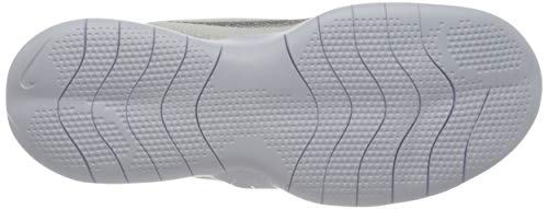 Nike Women's WMNS Flex Experience RN 10 Running Shoe, White MTLC Silver Platinum Tint Lt Smoke Grey, 6.5