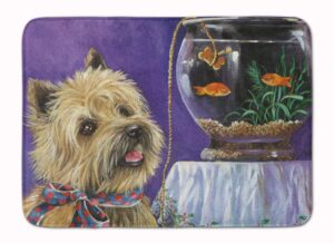 caroline's treasures cairn terrier gone fishing machine washable memory foam mat doormats, multicolor